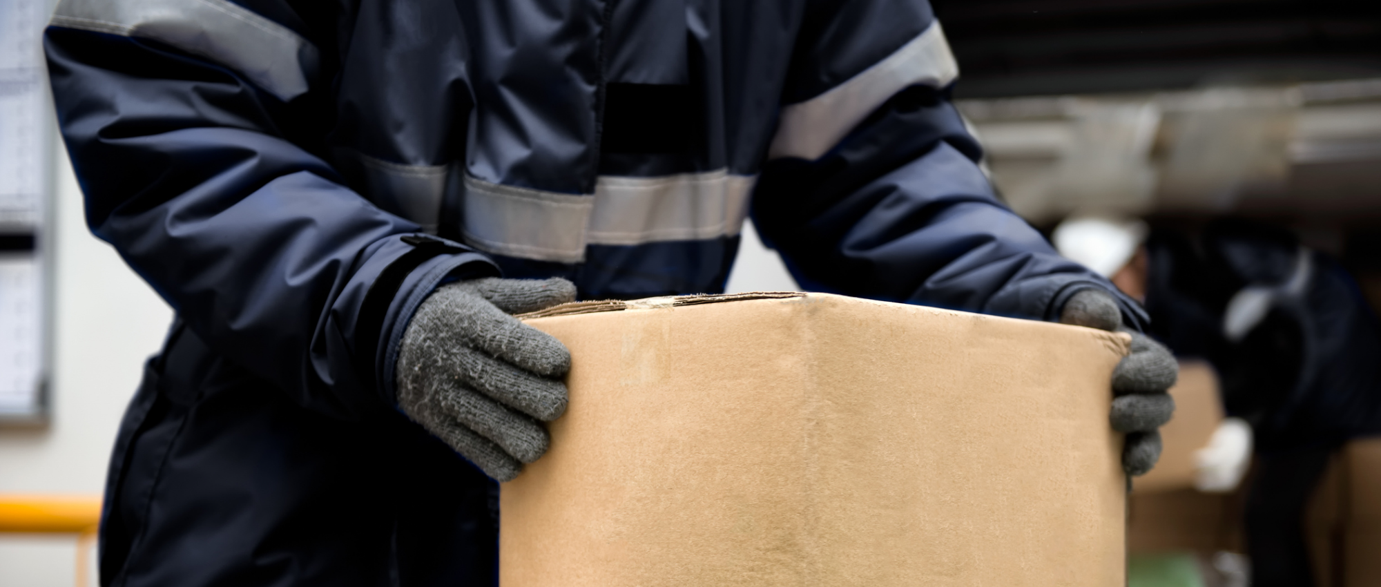 Cold Storage Gloves – Premier Supplies